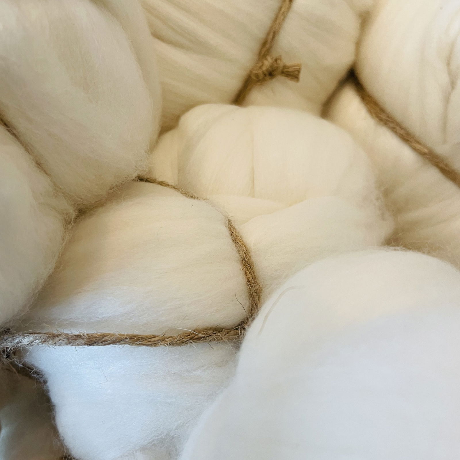 Ecoprint met Landscapes verf voor zijde, wol, katoen, linnen en leer